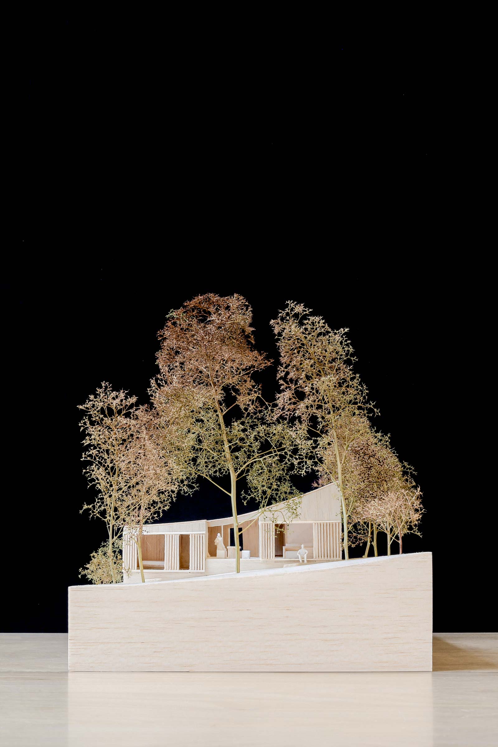 Draped House, Chatswood - TRIAS